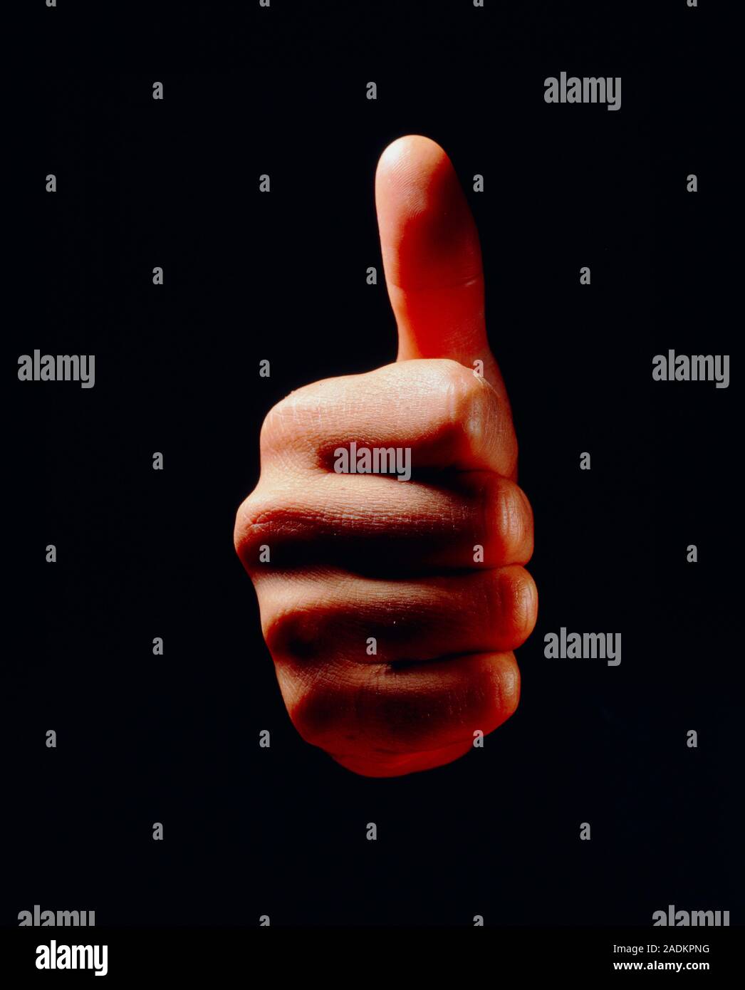 Fist with thumb up. Front view of a tightly clenched male fist with the ...