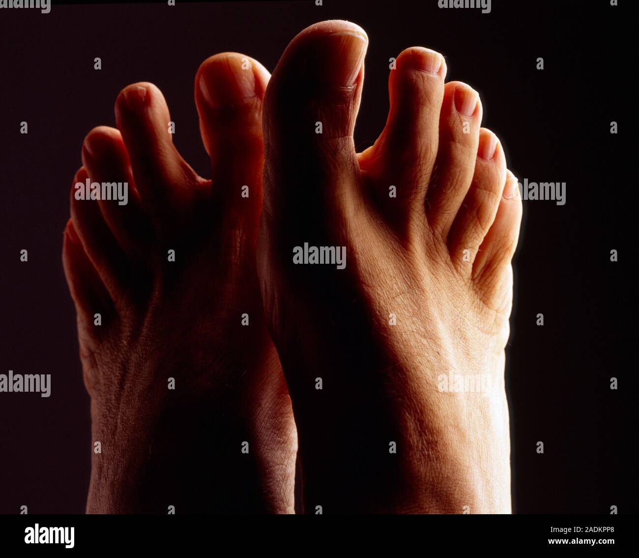 Man's feet. Top view of the healthy feet of a man Stock Photo - Alamy