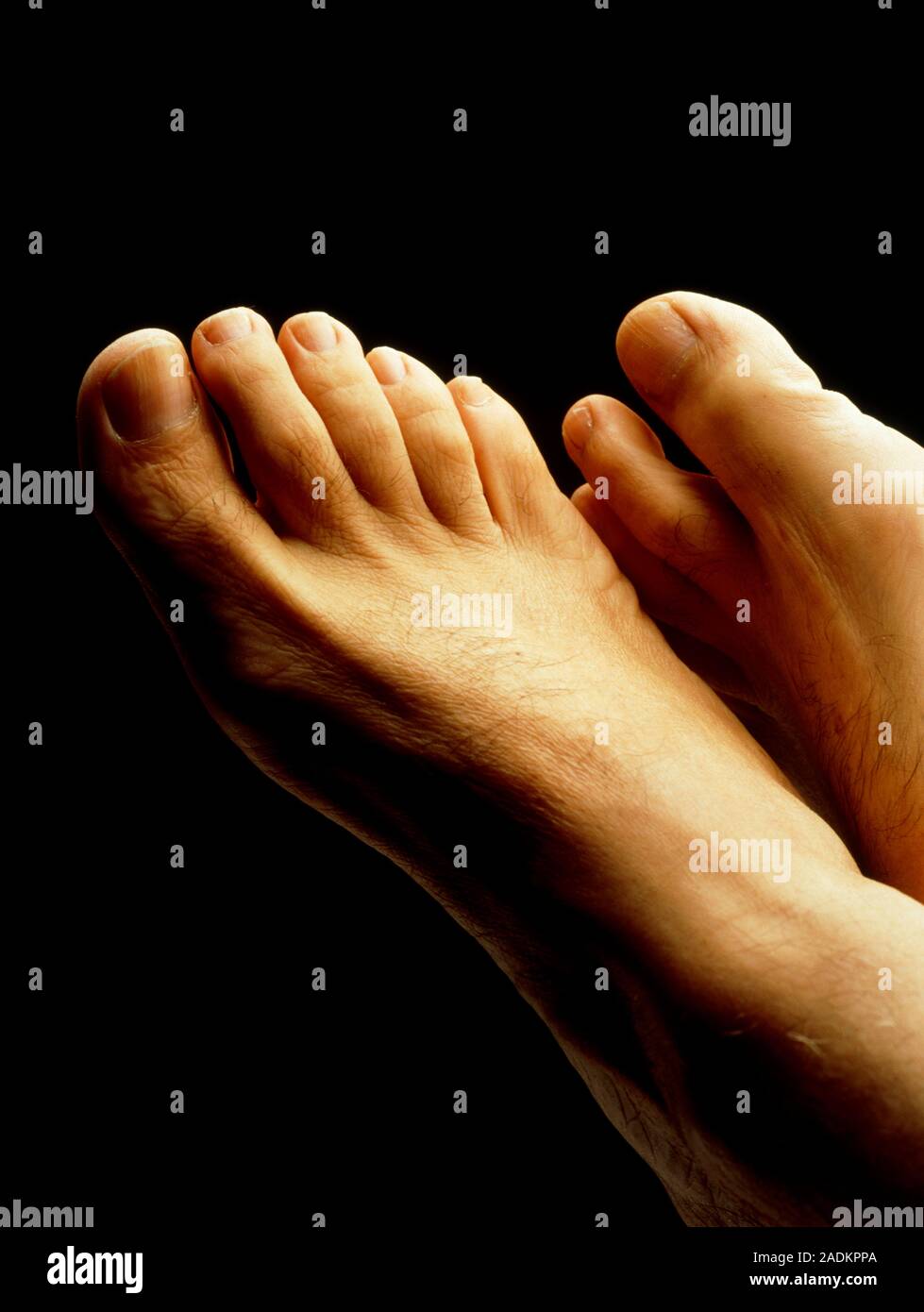 Man's feet. Top view of the healthy feet of a man Stock Photo - Alamy