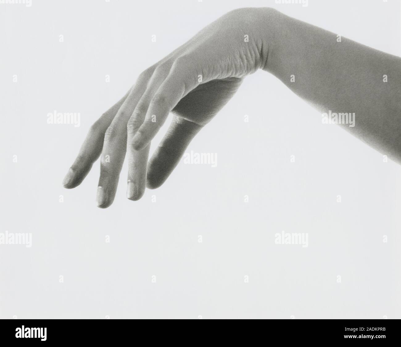 Healthy hand. Hand of a human arm that is bent at the wrist Stock Photo ...