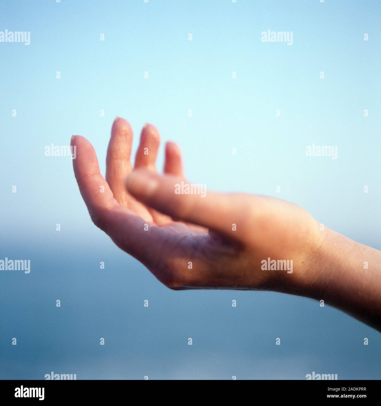 Hand held out with the palm facing upwards Stock Photo - Alamy