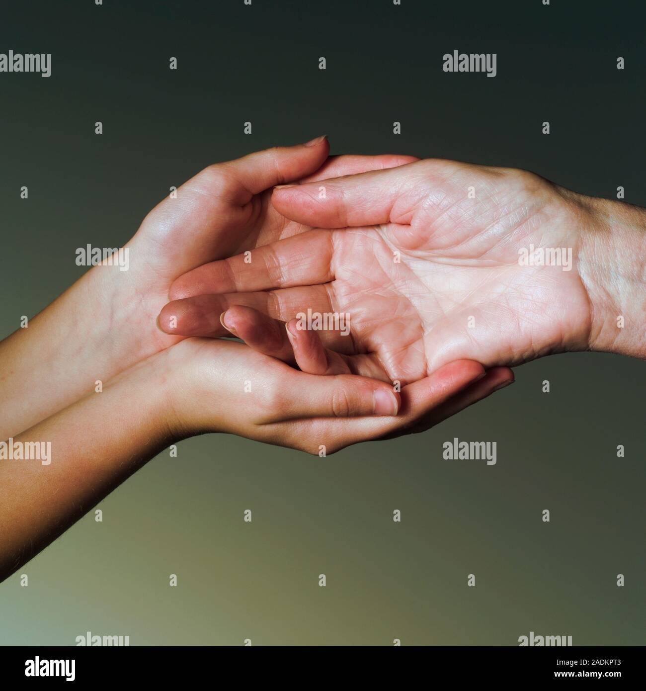 Generations. Hands of a child cupping the hand of an older person Stock ...
