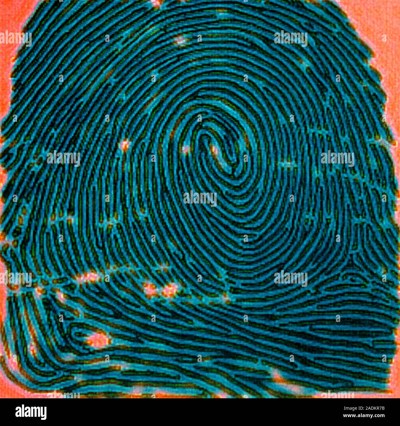 Computer-enhanced thumb print Stock Photo - Alamy