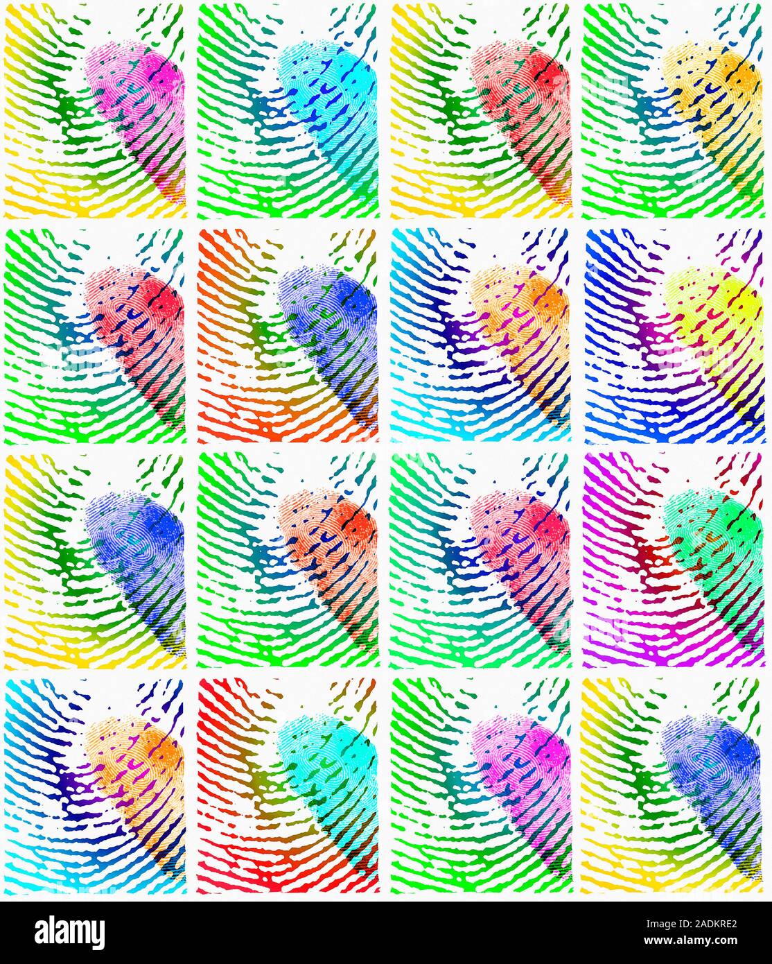 Fingerprints. Computer illustration of multiple images of coloured ...