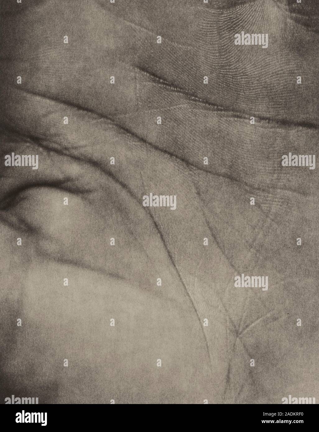 Palm. Close-up of the skin on the palm of a human hand Stock Photo - Alamy