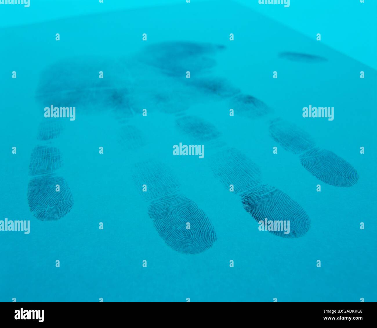 Hand print. Ink-print pattern from the ridges on the skin of a human ...