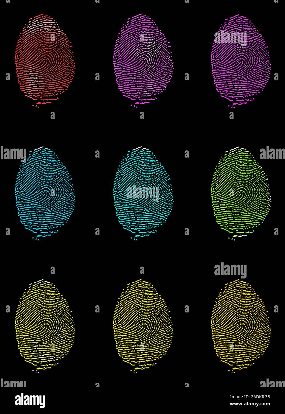 Fingerprints. Coloured patterns from the ridges on the skin of human ...