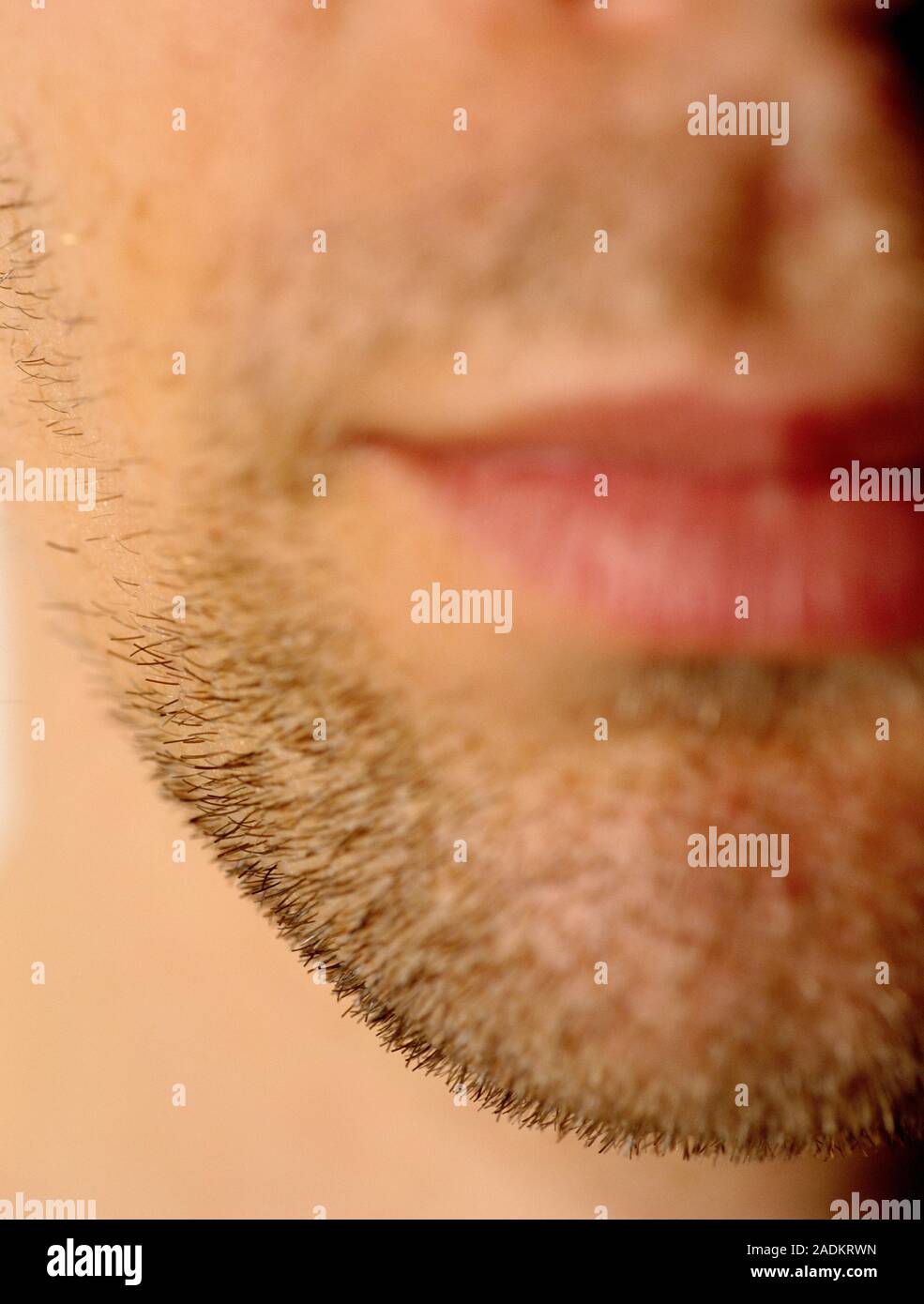 Facial hair. Stubble on a man's face Stock Photo - Alamy