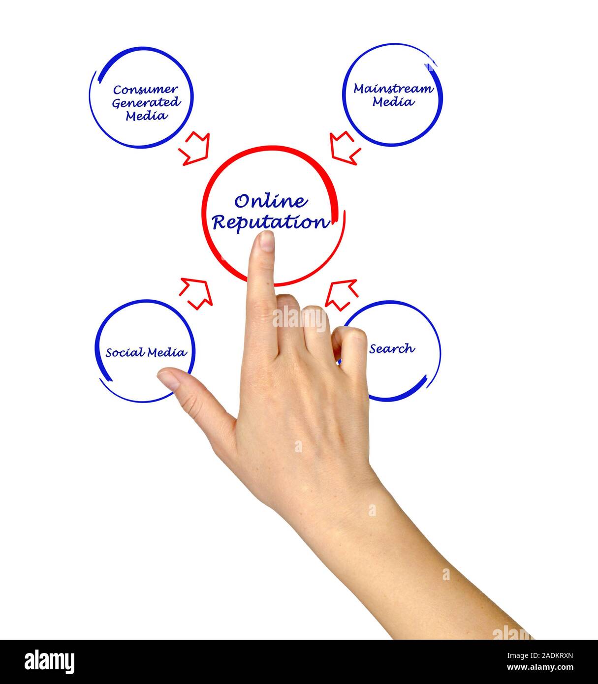 Online article Cut Out Stock Images & Pictures - Alamy