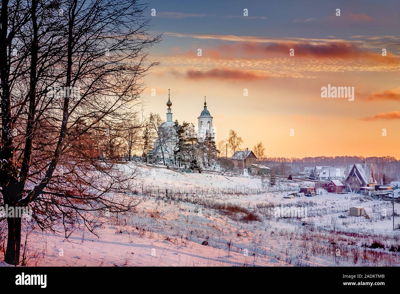 New life in the winter garden hi-res stock photography and images - Alamy