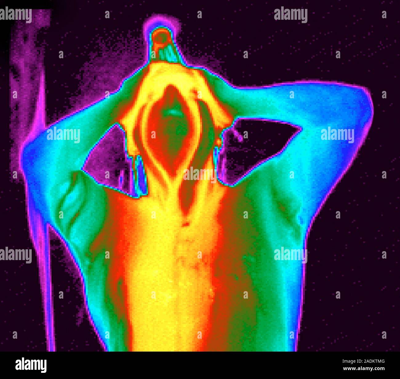 Head and shoulders. Thermogram of a man taking a shower, showing the ...