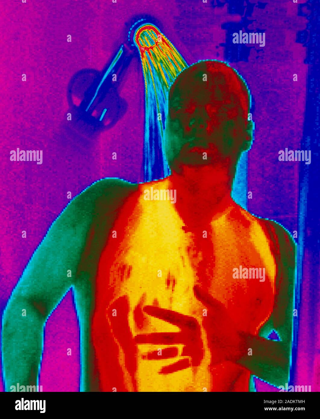 Head and shoulders. Thermogram of a man taking a shower, showing the ...