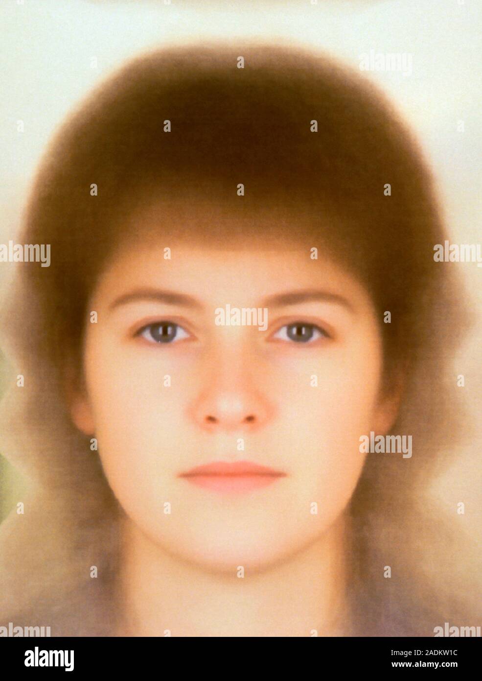 Beauty perception. Composite computer image of the face of 15 ...