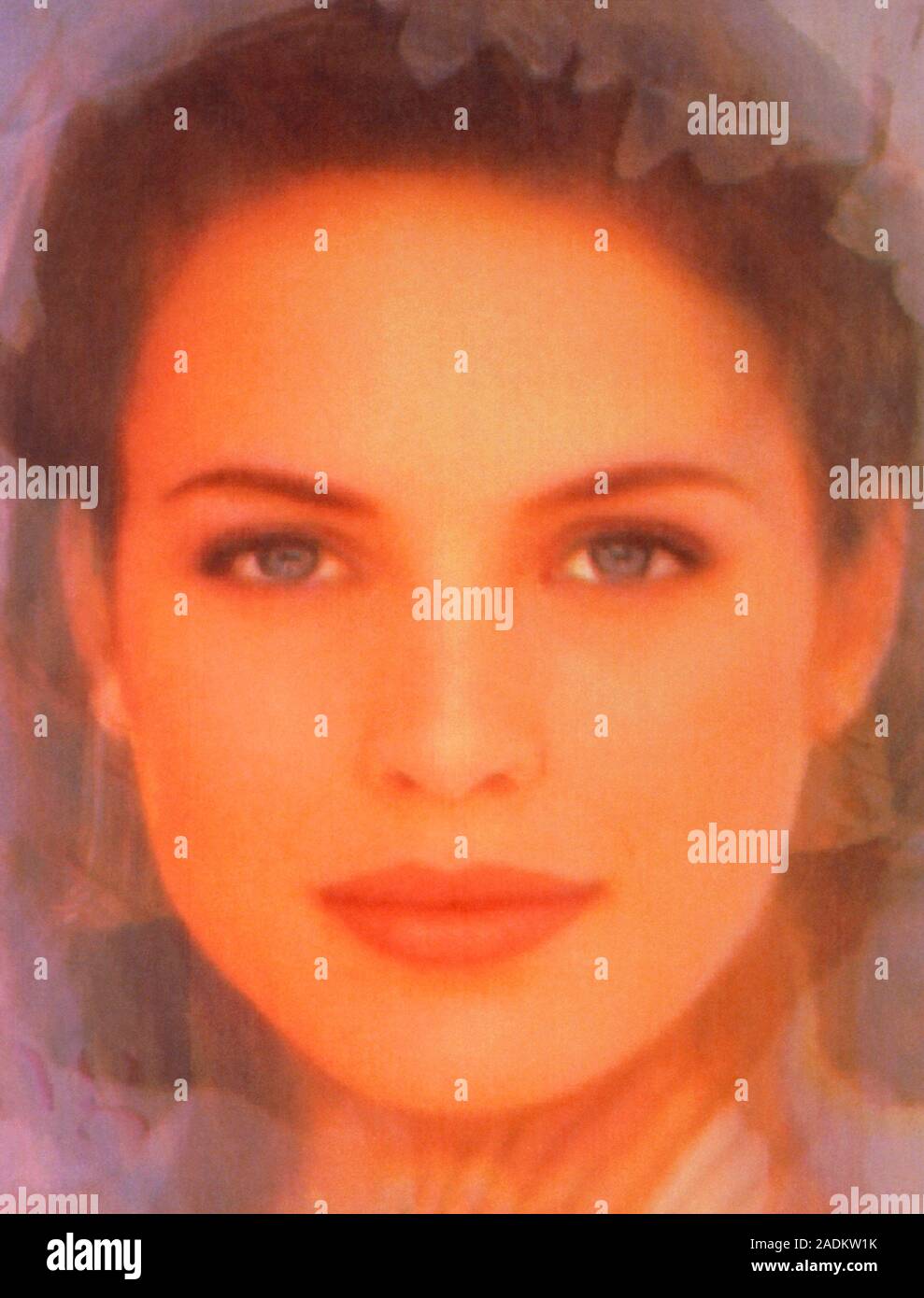 Beauty perception. Composite computer image of the faces of 8 Caucasian ...