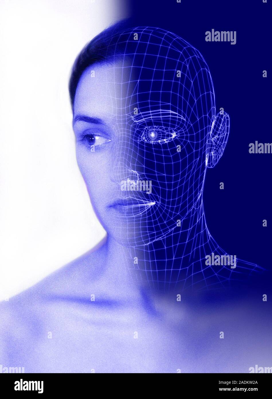 Wire-frame face. Computer illustration of a woman's face half seen in ...