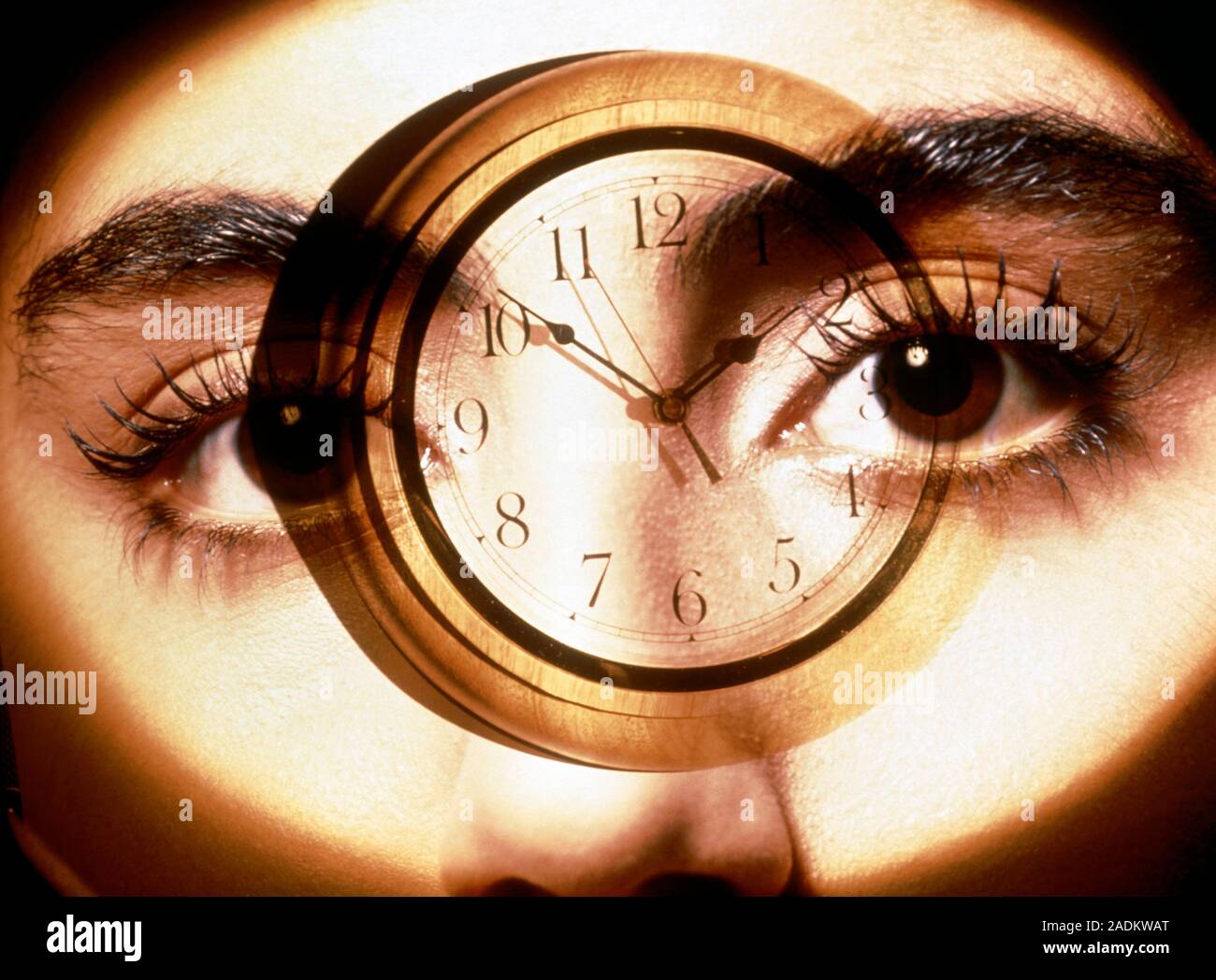 Biological clock. Abstract image depicting human biorhythms, showing a ...