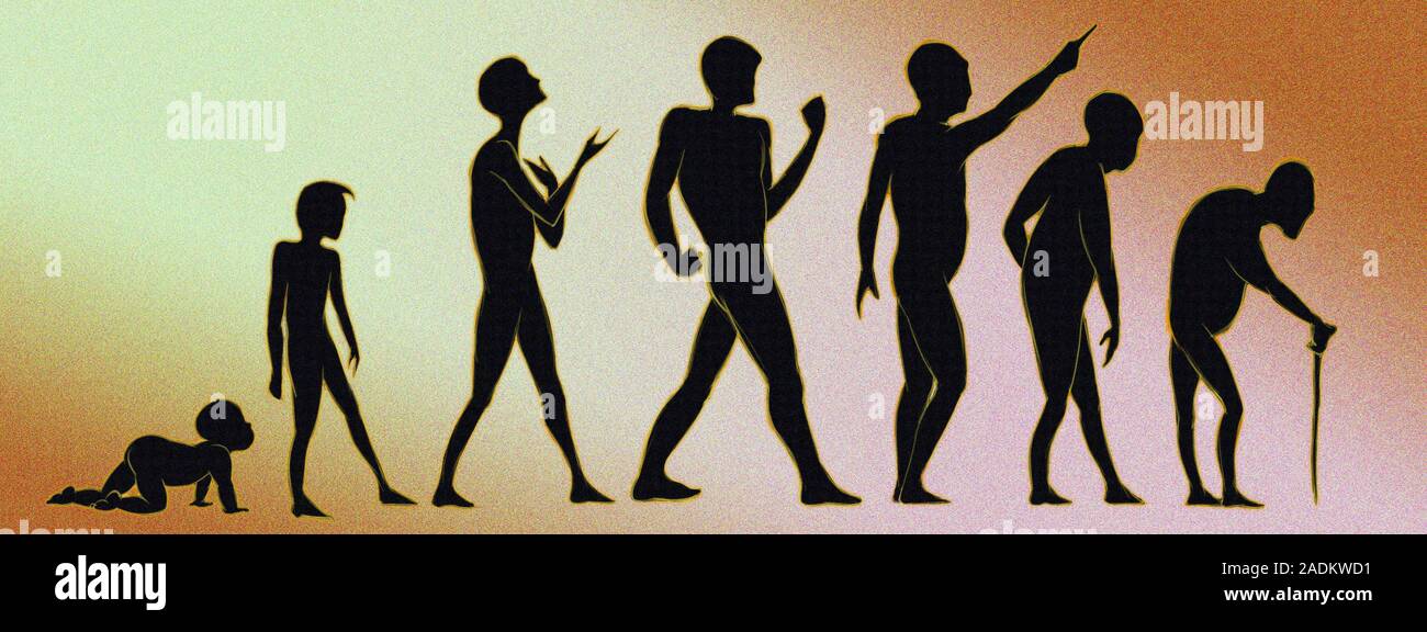 Seven Ages of Man. Computer illustration depicting William Shakespeare ...