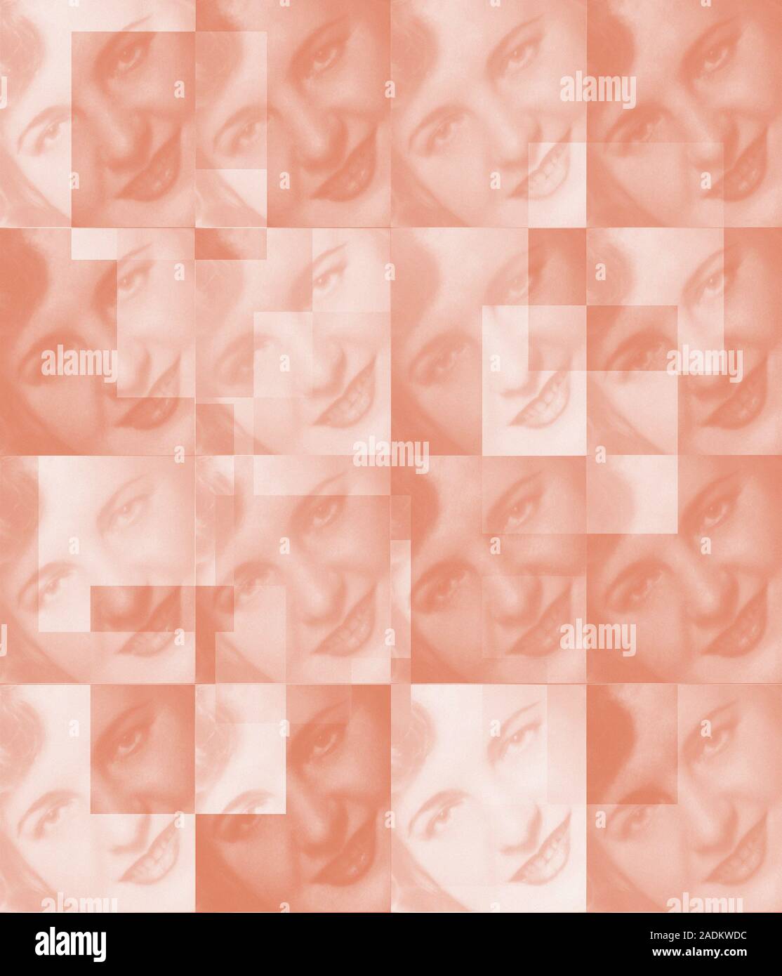 Woman's face. Multiple images of a woman's face Stock Photo - Alamy