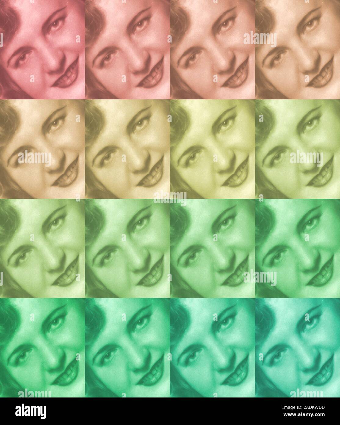 Woman's face. Multiple images of a woman's face Stock Photo - Alamy