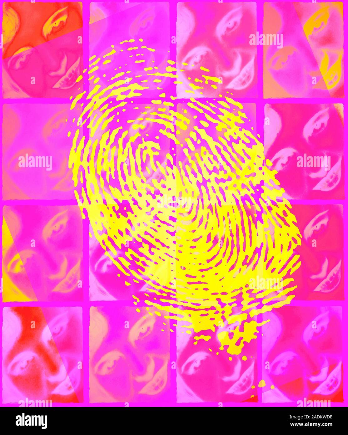 Faces with fingerprint. Computer illustration of a fingerprint seen ...