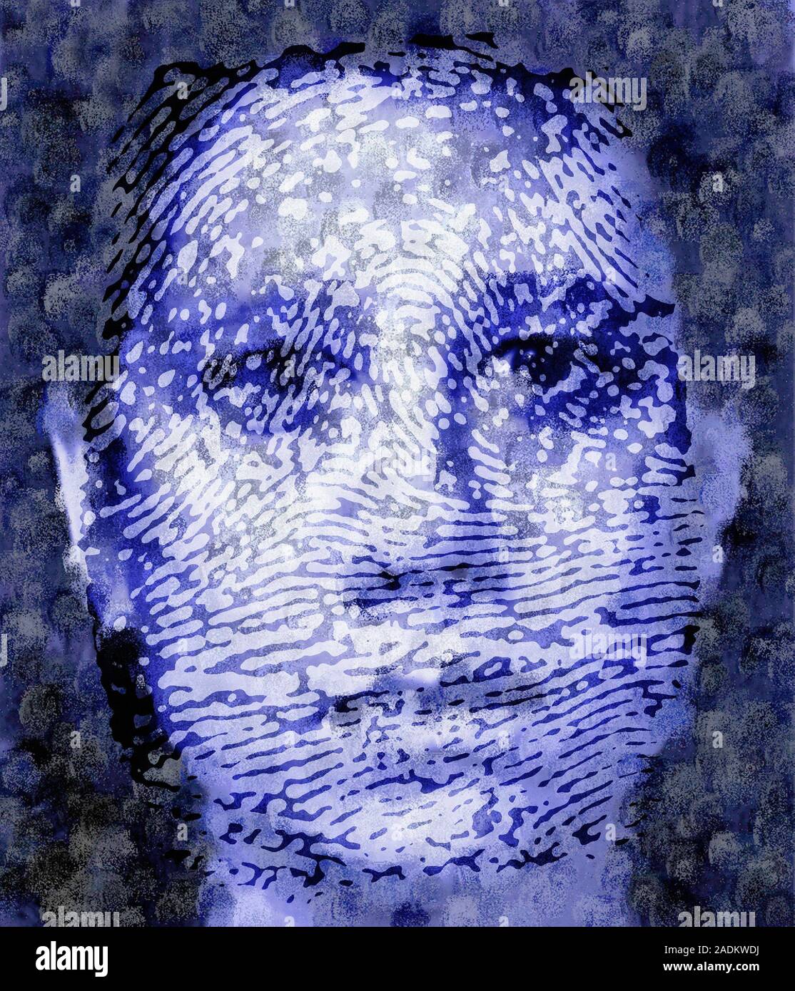 Fingerprint face. Computer illustration of a woman's face formed from a ...