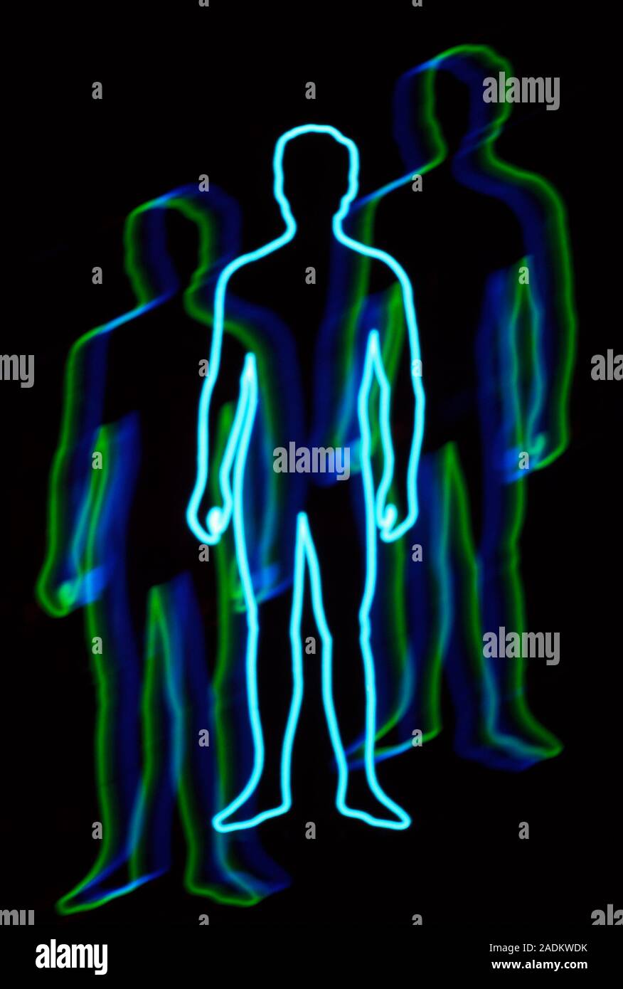 Human shape. Computer artwork of outlines of the human shape Stock ...