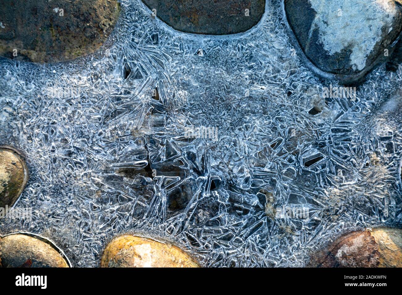 ice crystal puddle Stock Photo - Alamy