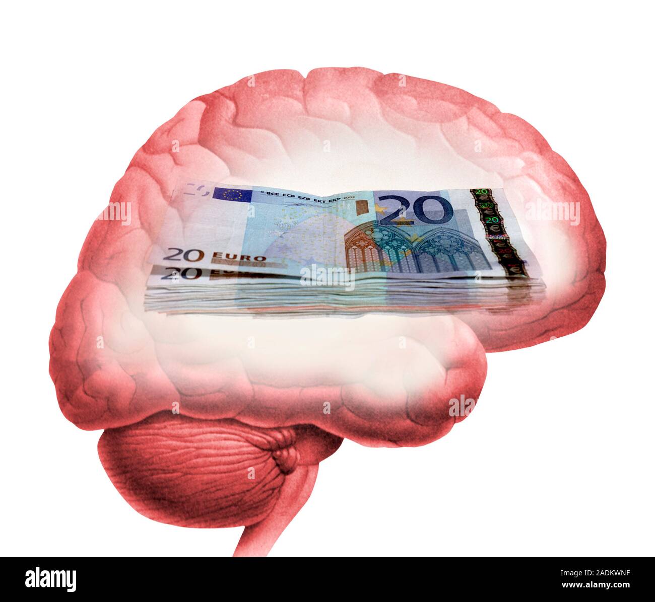 Money obsession. Artwork of banknotes inside the human brain ...