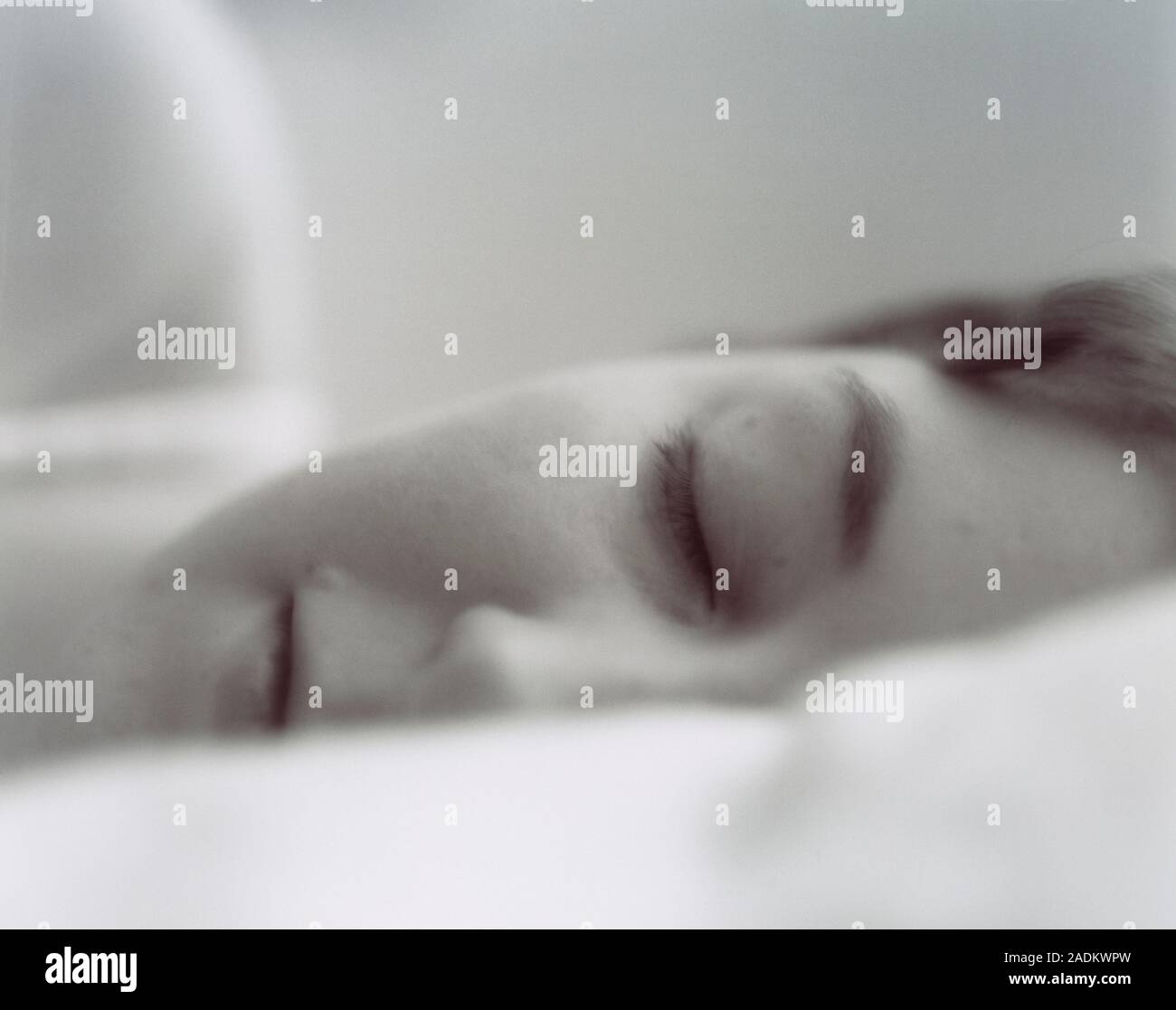 Sleep. Face of a sleeping woman Stock Photo - Alamy