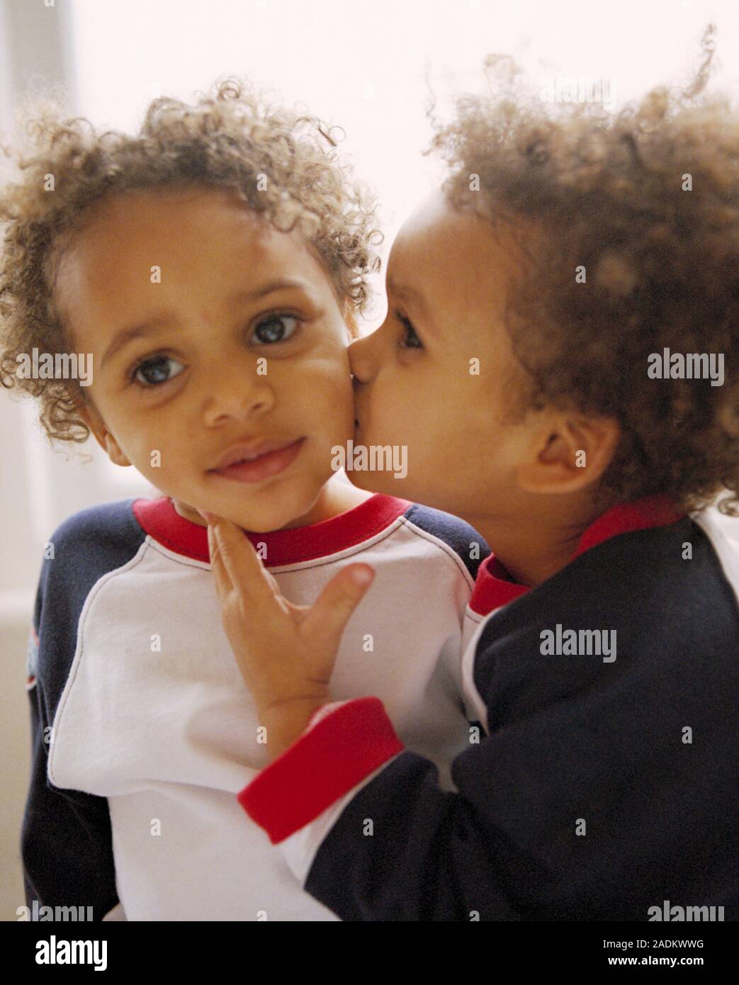 Identical 2.5-year-old twin boys playing. Genetically identical ...