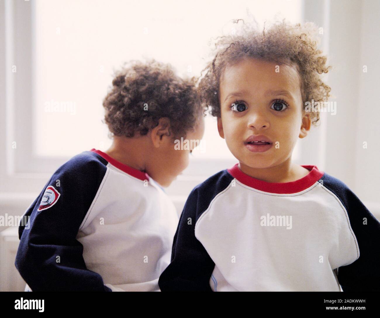 Identical 2.5-year-old twin boys. Genetically identical (monozygotic ...