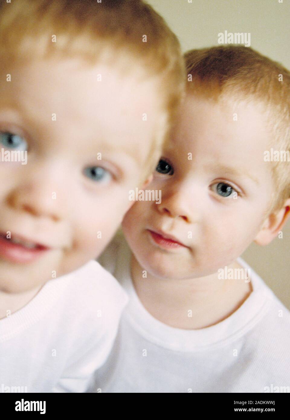Identical 2.5-year-old twin boys. Genetically identical (monozygotic ...