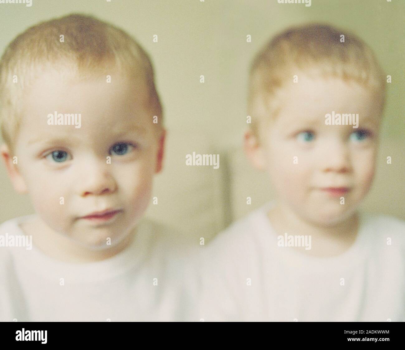 Identical 2.5-year-old twin boys. Genetically identical (monozygotic ...