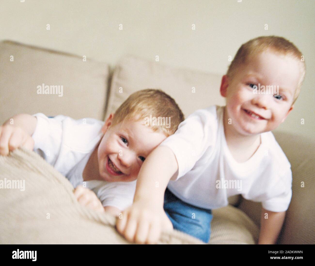 Identical 2.5-year-old twin boys playing. Genetically identical ...