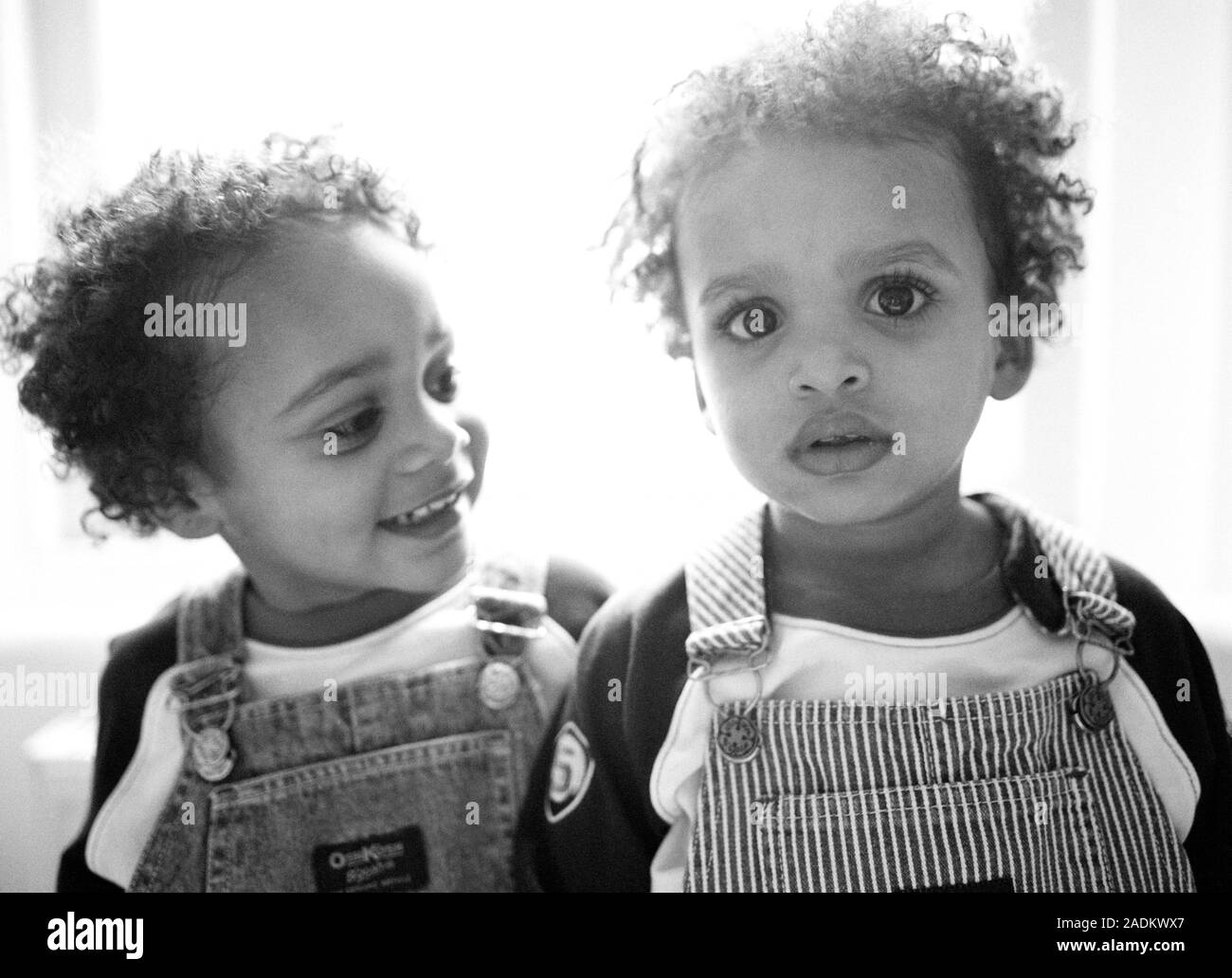 Identical 2.5-year-old twin boys. Genetically identical (monozygotic ...