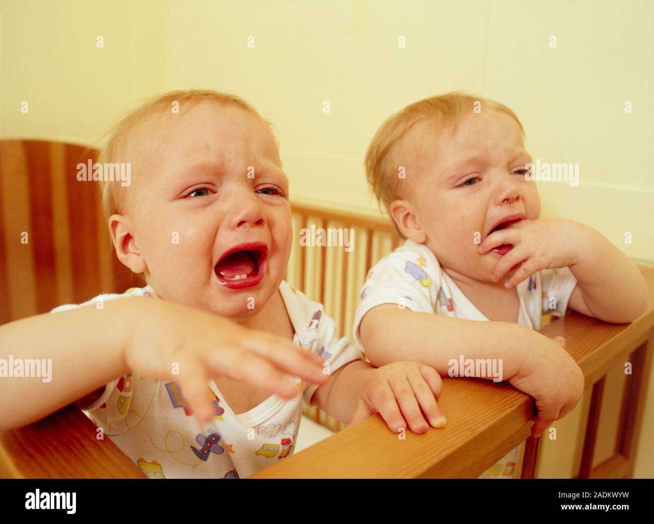 Identical twin baby boys crying. They are 15 months old. Genetically ...