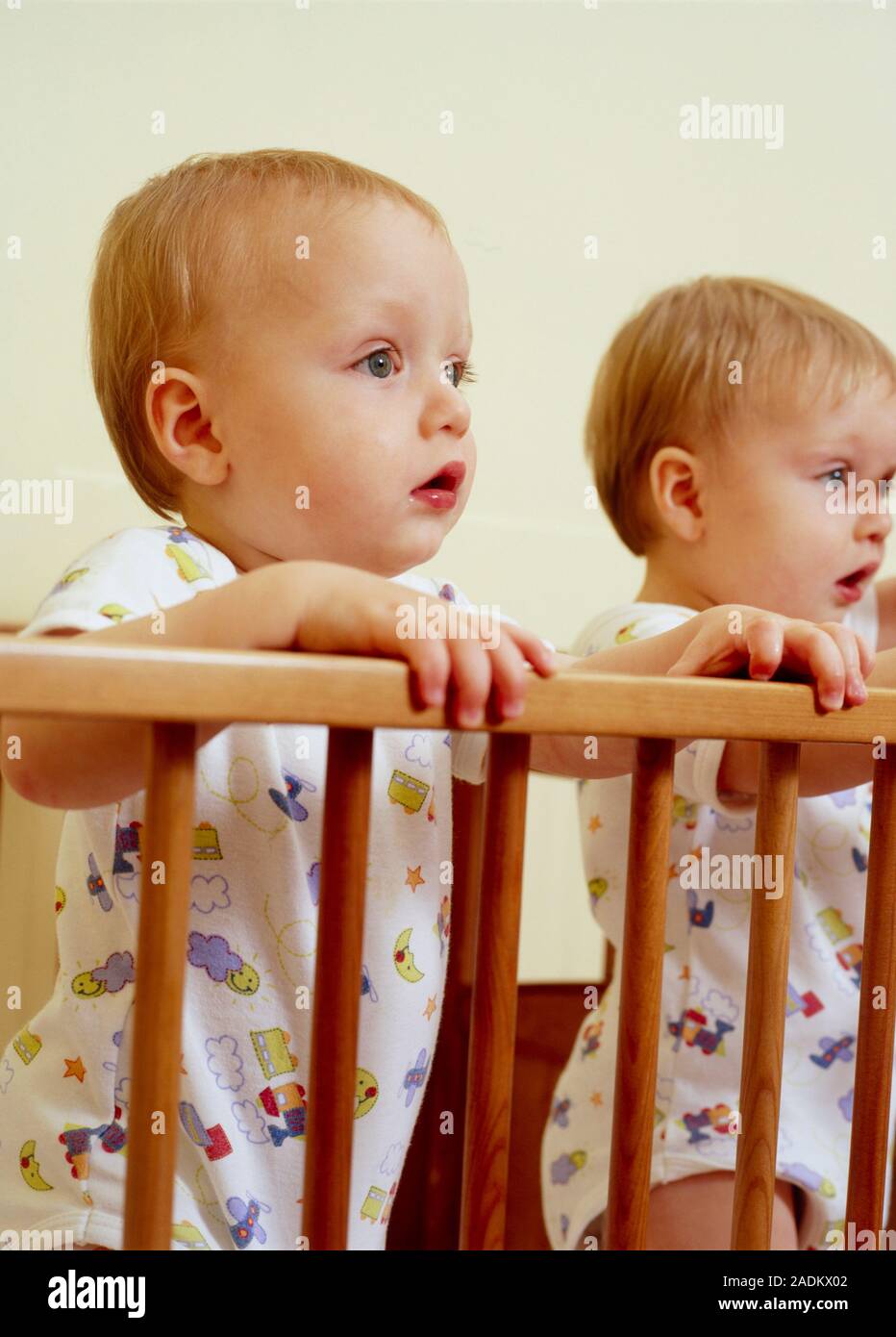 Identical twin baby boys in a cot. They are 15 months old. Genetically ...