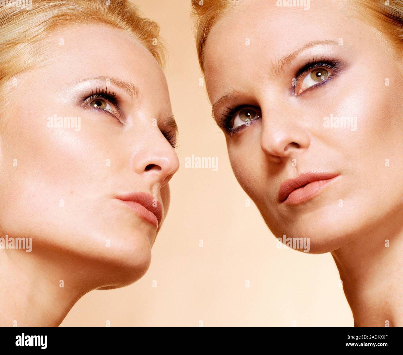 MODEL RELEASED. Identical twin sisters. Genetically identical ...