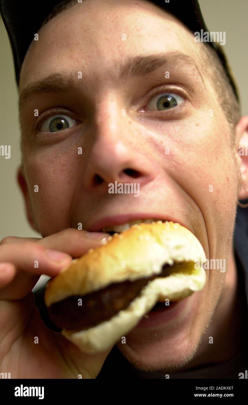 Hamburger. Man bites greedily into a hamburger. The processed meat ...