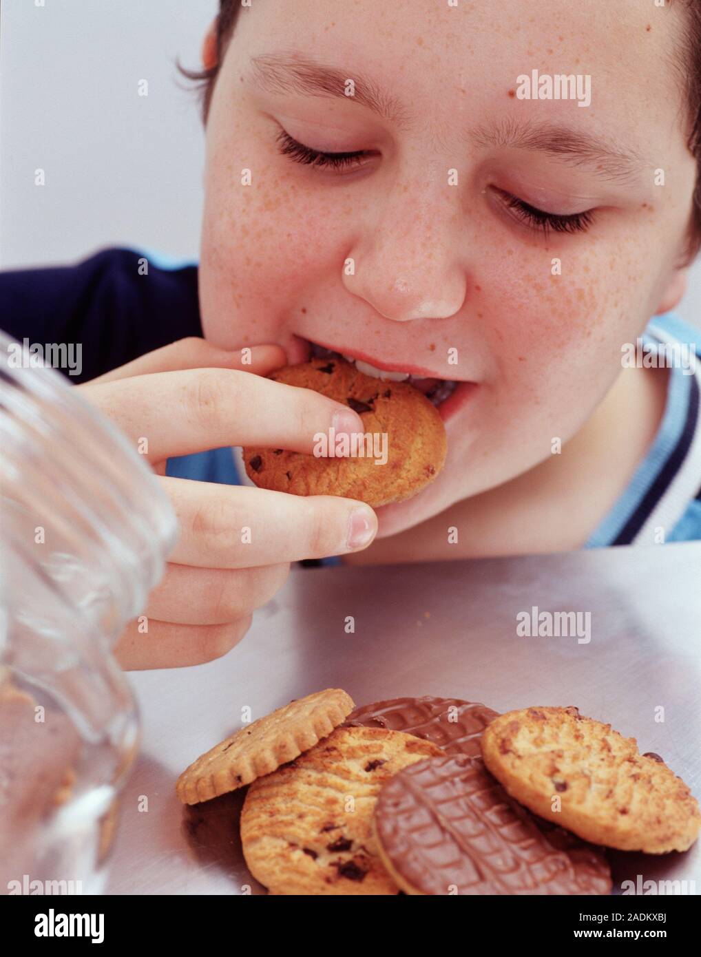 Eating biscuits. Boy eating a biscuit. These contain sugar and fat ...
