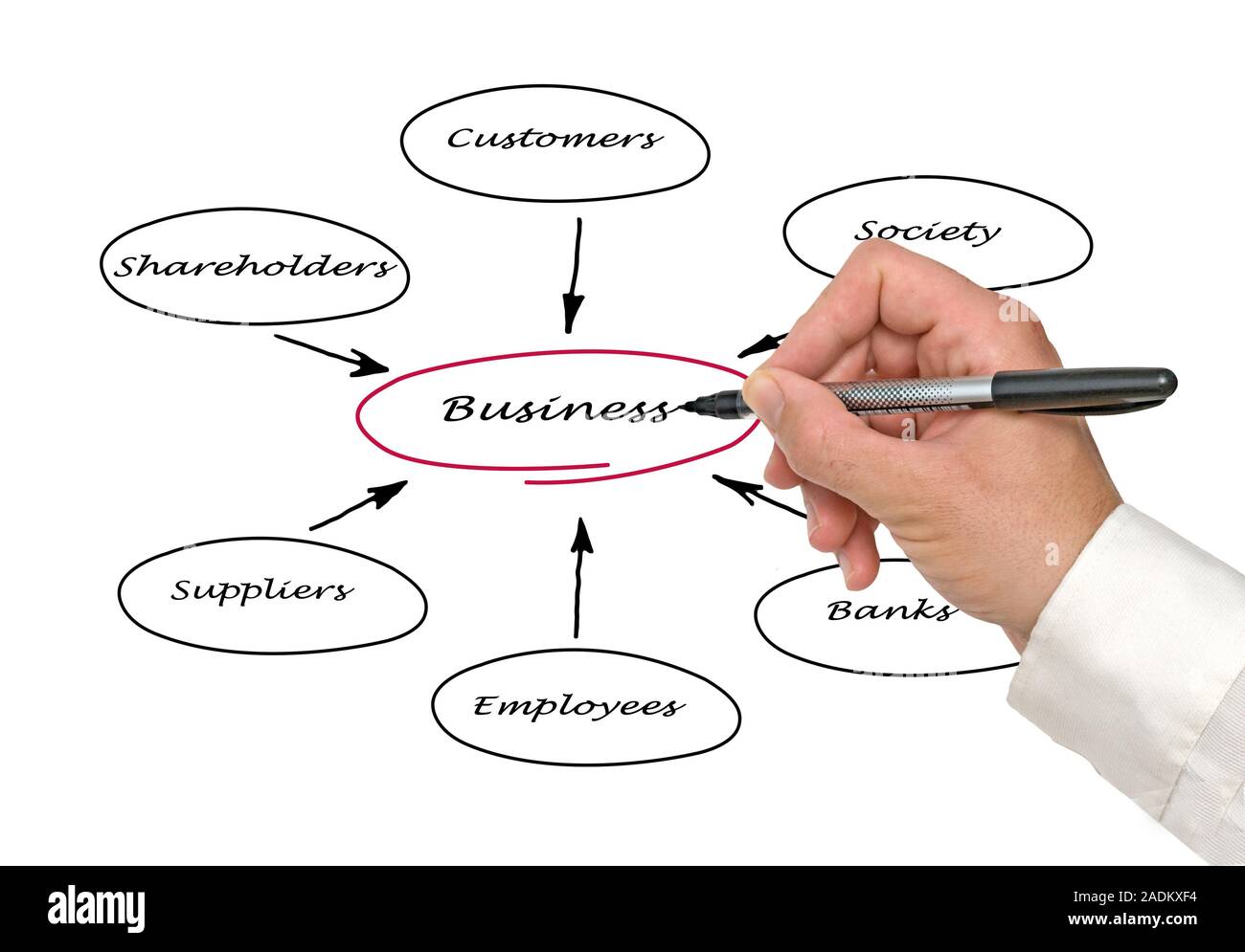 Diagram of relationship of business with stakeholders Stock Photo - Alamy