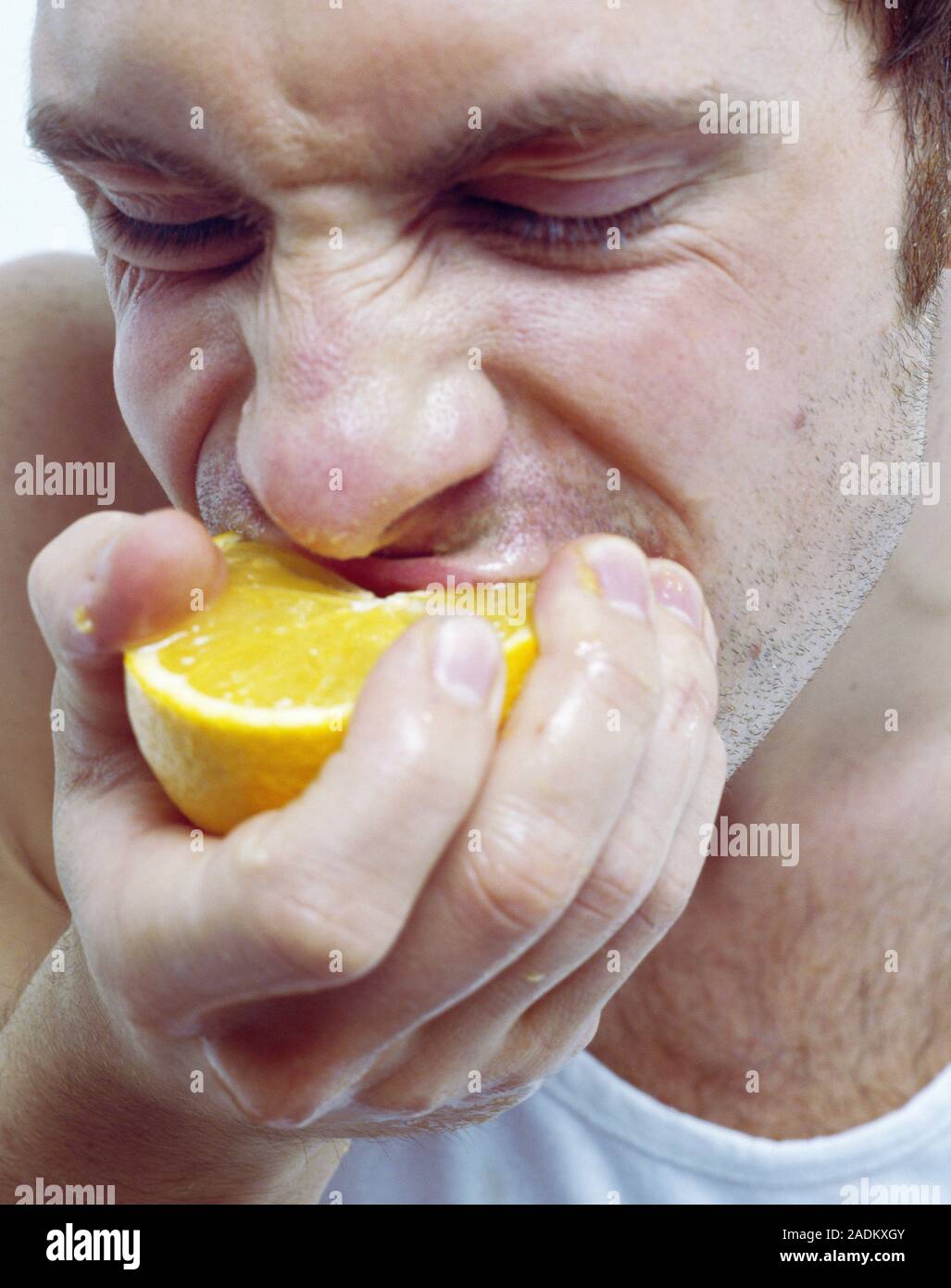 Man eating orange. Man biting into a juicy orange (Citrus sinensis ...