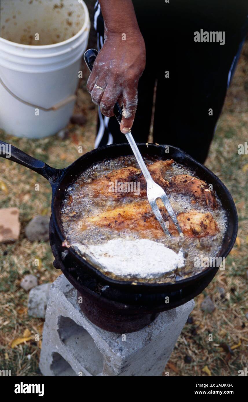 Deep frying fish. Deep frying red hind fish (Epinephelus guttatus) on ...