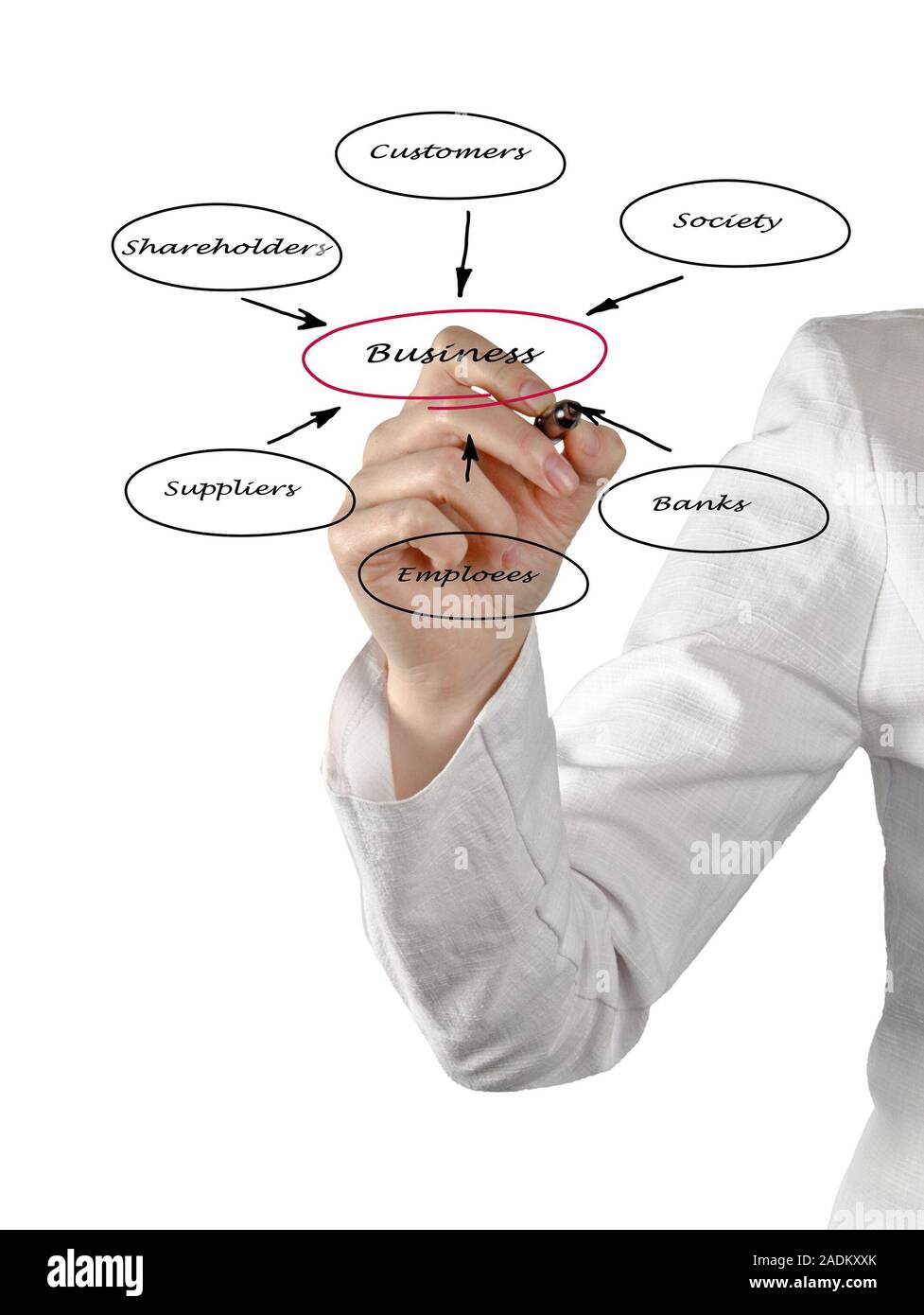 Diagram of relationship of business with stakeholders Stock Photo - Alamy