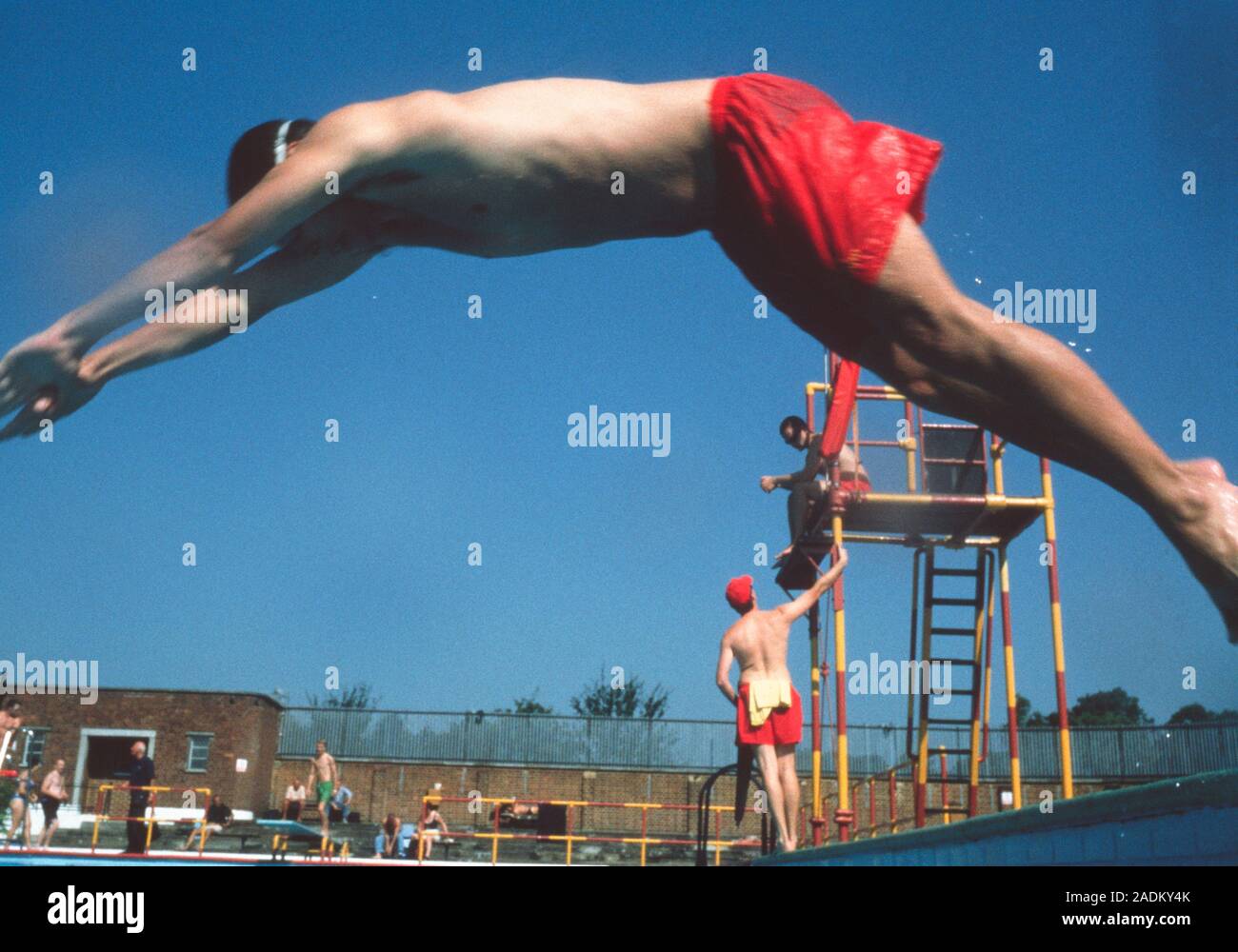 Diving. Man diving into a swimming pool Stock Photo - Alamy
