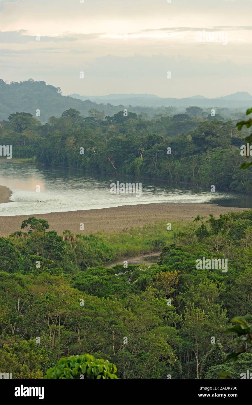 Napo region hi-res stock photography and images - Alamy
