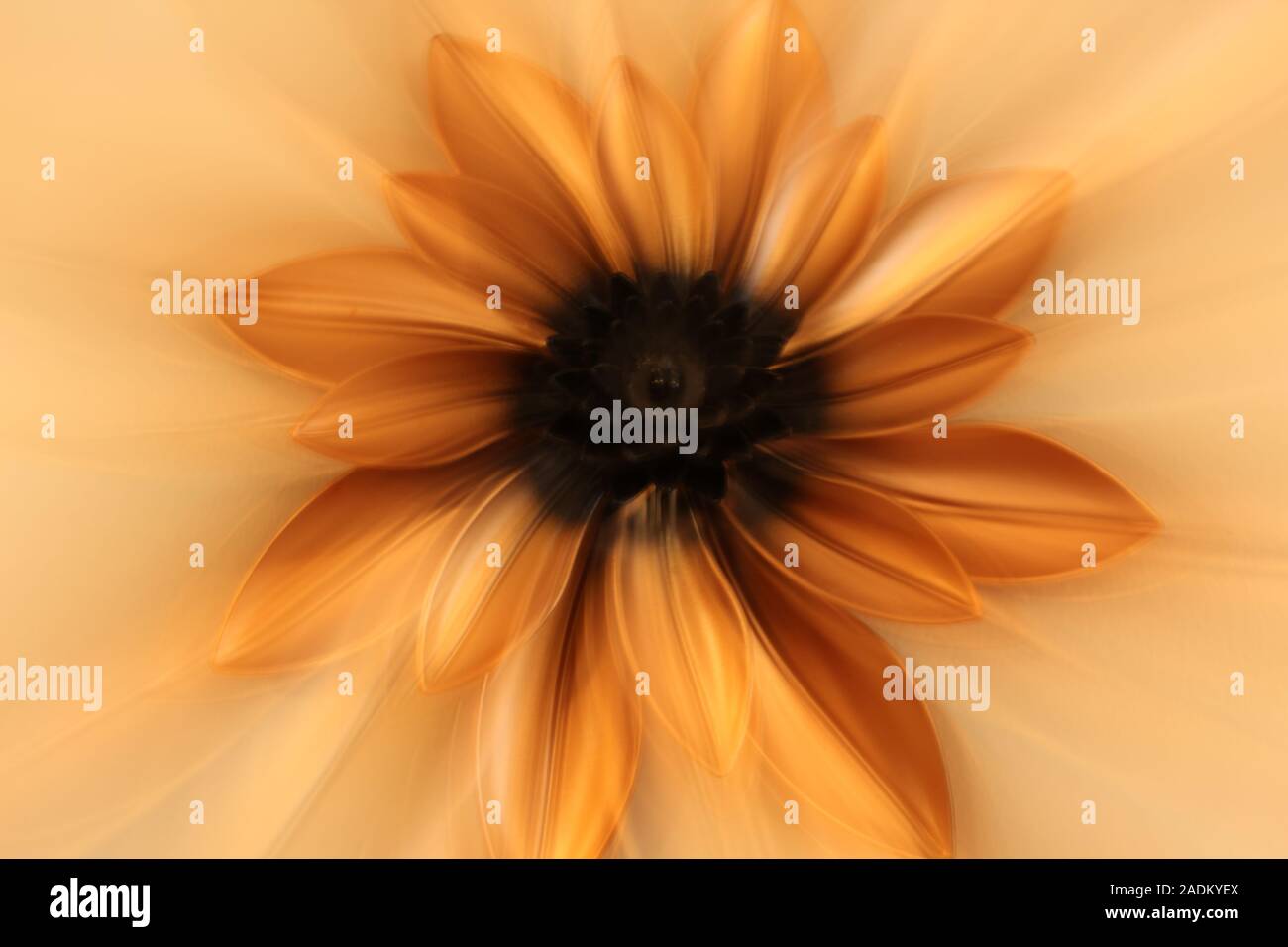 Slow lens hi-res stock photography and images - Alamy