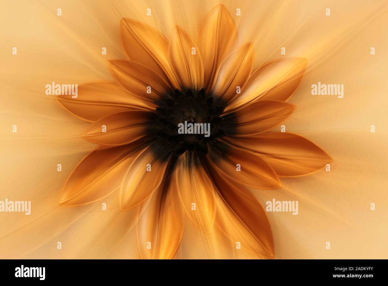 Fast lens hi-res stock photography and images - Alamy