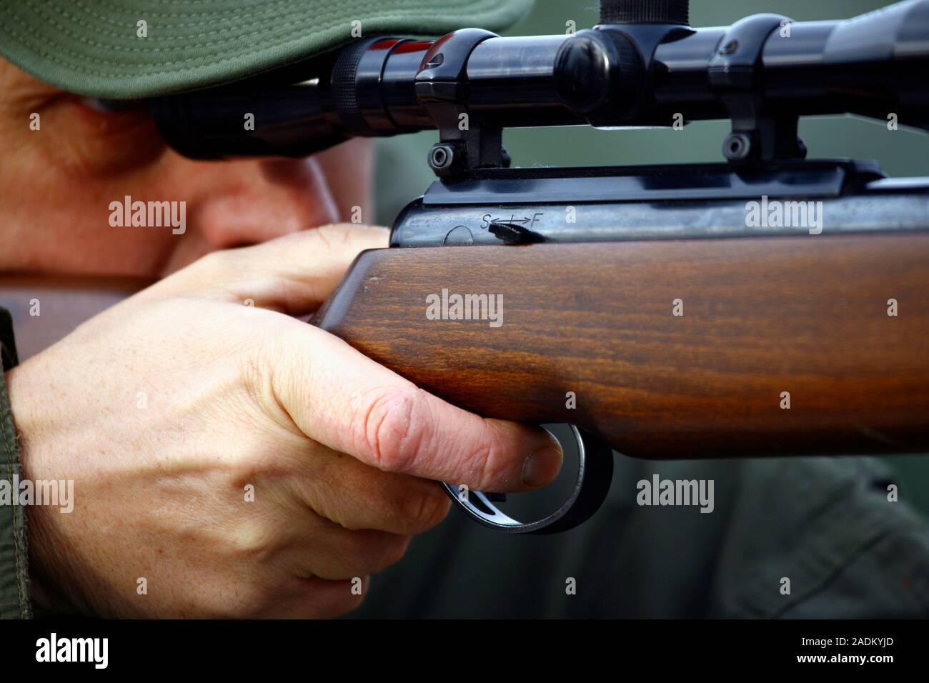 Huntsman aiming his shotgun. Photographed in Sweden Stock Photo - Alamy