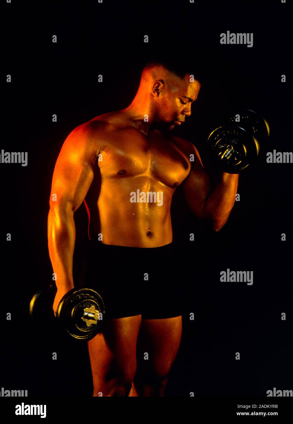 Bodybuilding exercise. Well muscled man uses a dumb-bell weight to ...